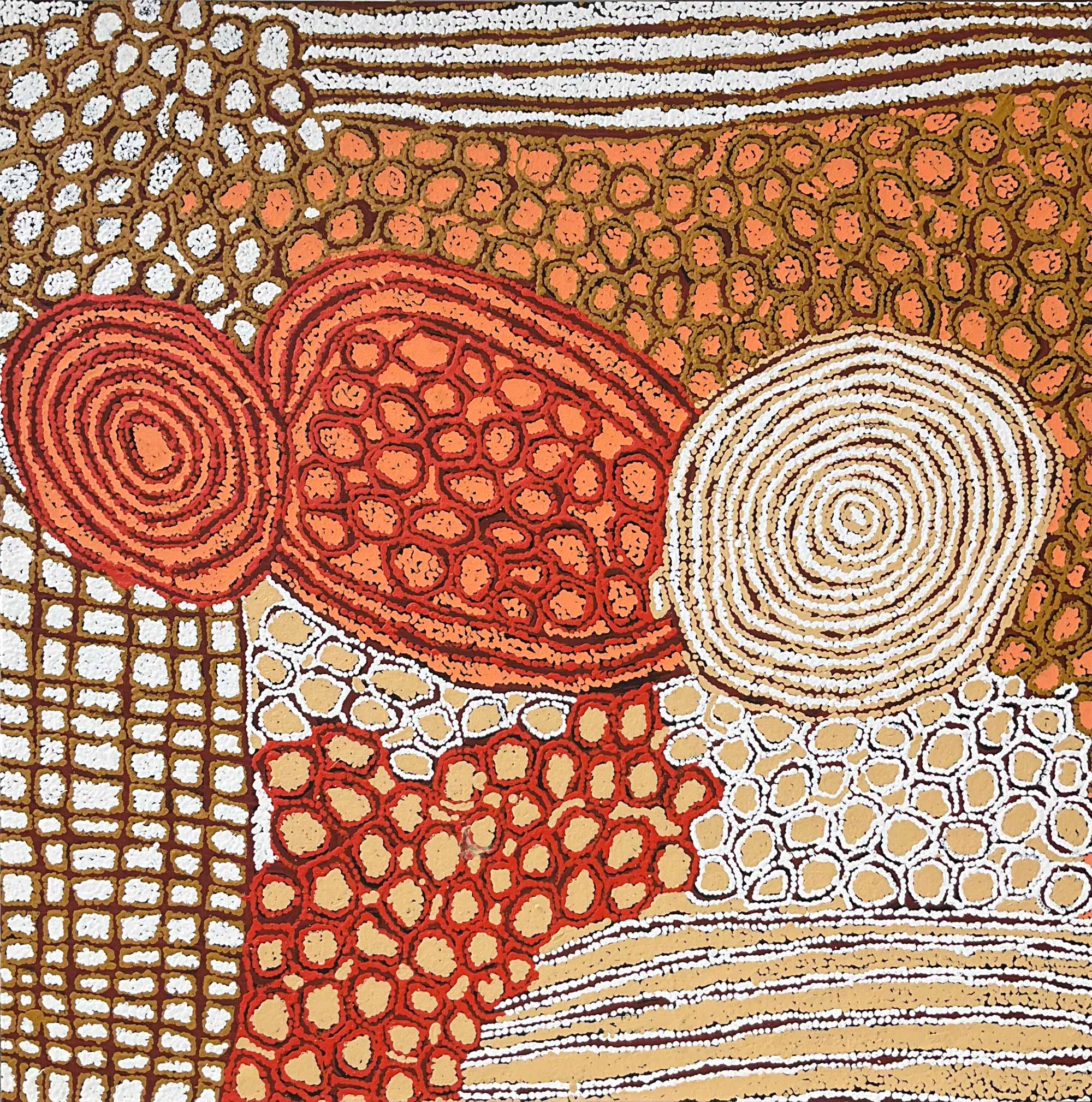 Exhibition: 'Contours' Aboriginal Artworks – Mitchell Fine Art
