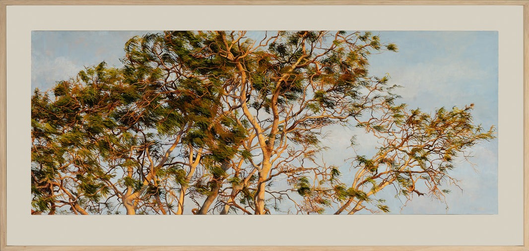 'Luxury' | Kim Wilson Exhibition – Mitchell Fine Art