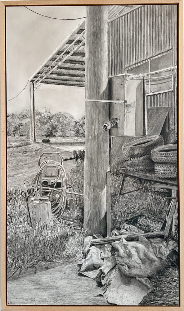 Miriam Innes artworks - 'Outside the Avocado Farm Shed' – Mitchell Fine Art