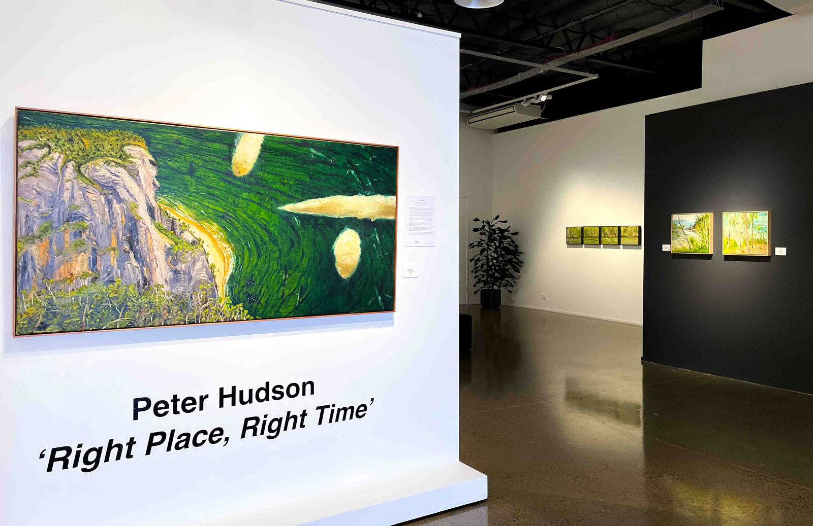 Mitchell Fine Art - Aboriginal & Contemporary Art, Brisbane.